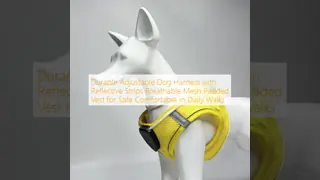 No Pull Dog Harness: Walk Comfortably