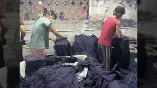 Wash the cat's whiskers by hand