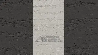 China Textured Wall Renovation Paint For Interior Walls Ribbon Like Travertine Texture for sale