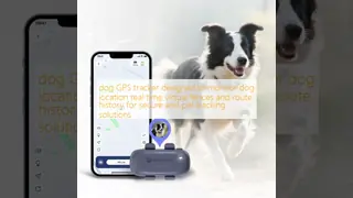 Waterproof Reflective Dog Harness