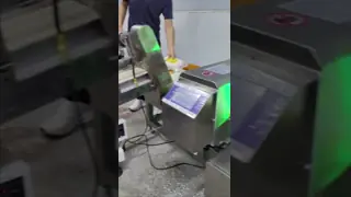 Conveyor Metal Detector For Bulk Products Chemicals And Industrial Product Inspection