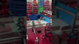 Food X Ray Machine For Food Industry HACCP approved