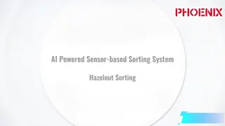 China HDF AI-powered Optical Sorter with Dual-band SWIR and 400mm Belt Width for Precision Nut Sorting for sale