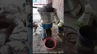 Animal feed machine for chicken, duck and fish feed pellet processing