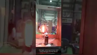 Hydrogen sintering process-hydrogen burning