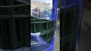 PVC Euro Fence