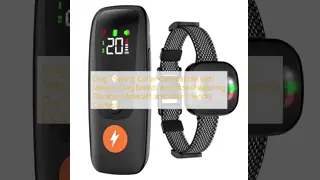 Dog Training Collar For Better Behavior