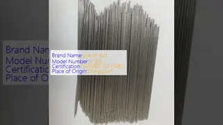 China 304 Stainless Steel Bead-Blasted Precision-Ground Bevel Puncture Needle for Medical Applications for sale