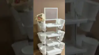 China Double-Sided Flower Display Shelf with 3 Adjustable Shelves and 4 Casters - Multi-Purpose Plant & Merchandise Rolling Stand for sale