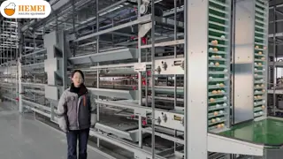 H‑type Layer Cage Introduction