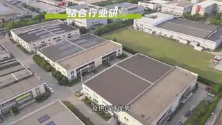 China TPU Pet Fitness Equipment Cat Treadmill Wheel Lightweight 10kg-30kg for sale