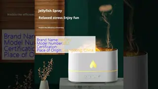 Portable Aroma Diffuser 0.L  Year Warranty