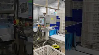 Wet Dry Food Products X Ray Inspection Machine For Industry Canned Bottled Products Package