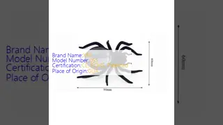 China Solar Toy Solar Spider Plush Insect Novelty and Gag Toys Educational Games for sale