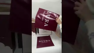 Wine Color Express Bag Stylish & Chic