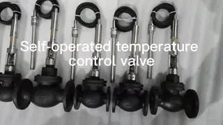 Self-operated temperature control valve