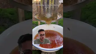 Natural Comb Honey Pure Bee Honey Benefits