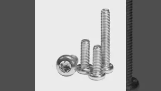 304 Torx screw