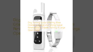 Dog Training Collar Long Range Obedience