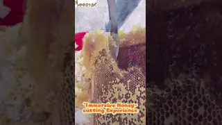 Natural Honeycomb Honey For Your Health