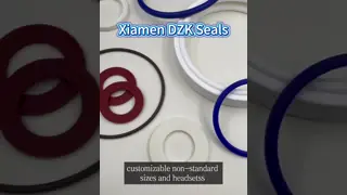Custom Gaskets & Washers Precision Seals