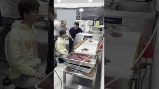 Food Grade Metal Detector
