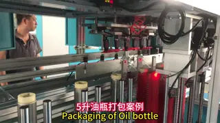 China 4 Axis Rotary Bagged Plastic Bottle Palletizer 3500W Bottle Palletizer Machines for sale