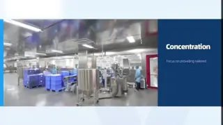 China PureStyle Fast Black Organic Bubble Hair Dye Shampoo 200ml Cream Halal Certified Safe for Sensitive Skin Home Use for sale