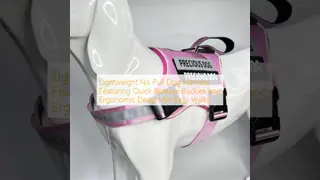 No Pull Dog Harness Easy Walks