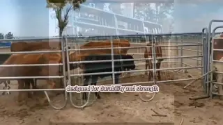 Cattle Fence Panels, Heavy Duty 12ft Galvanized Corral Panels, Rust-Resistant Livestock Fencing