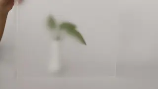 Acrylic Frosted Sheet