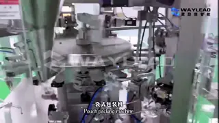 Pouch Packaging Machine for Handbags