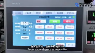 Fast Liquid Pouch Packaging Machine WG250