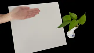 Matte Acrylic Sheet