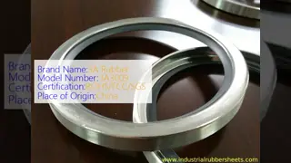 PTFE SS Shaft Oil Seal High Speed Air Compressor