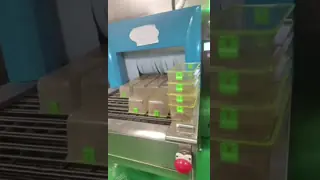 Tunnel cage washer usage video