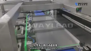 Automatic Plate Placing Robot Freeze Dryer