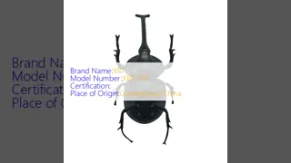 Solar Beetle Toy Fun Educational Learning for Kids