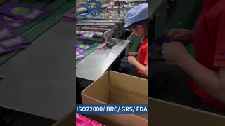 China Secure-Zip Kidsafe Storage Bags – Durable & Tamper-Proof Design for sale