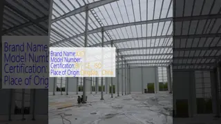 Steel Structure Buildings Fast & Durable Warehouses