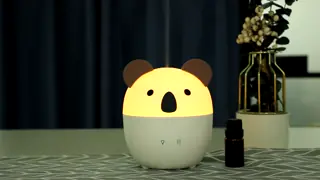 How to Use The Aroma Diffuser