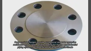 Copper-Nickel (Cu-Ni) Flanges – Superior Corrosion Resistance for Marine and Industrial Systems