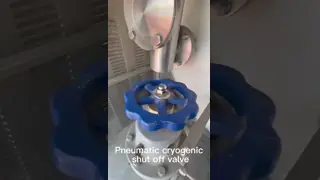 China SONGO Cryogenic Cut off Valve Socket Weld Type Pneumatic Emergency Shut off Valve flange type Liquefiede Oxygen DJ66F-40P for sale