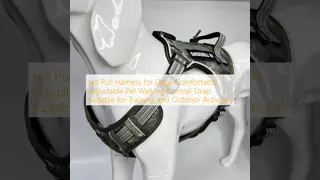 No Pull Dog Harness: Stop Leash Pulling Now