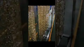 Vacuum coating product with a golden film layer