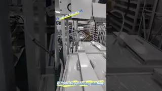 Automatic soldering machine