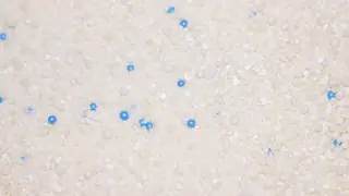 China Eco-Friendly Pet Supplies Cat Litter Made From Natural Cassava Starch Clumping Cassava Cat Litter for sale