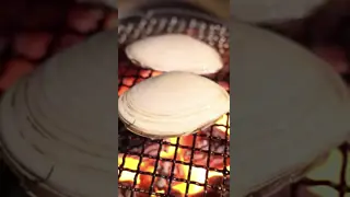 Perfect BBQ Grill Mesh for Outdoor Cooking