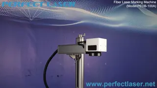 Perfect Laser Tabletop Mini Fiber Laser Marking Machine PEDB-100A Professional Video