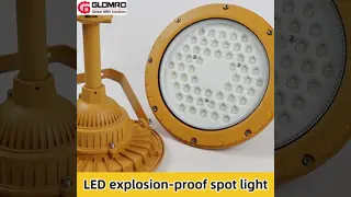 China High-quality 50W-400W Round Wide-pressure Explosion-proof Lamp IP66 Dust-proof and Water-resistant for sale